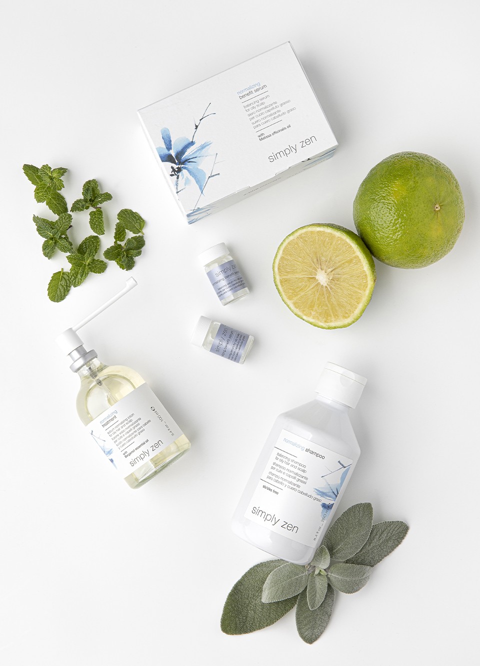 simply zen | z.one concept