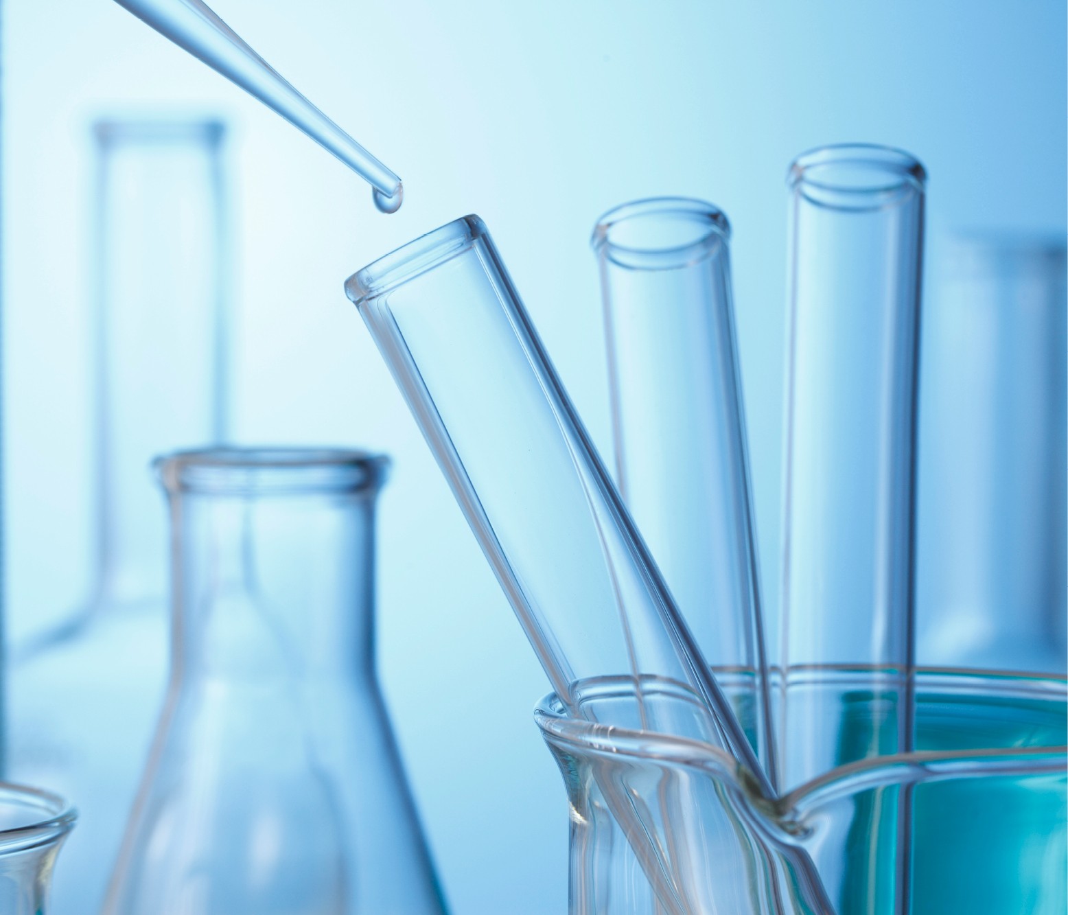 Much more than just an extract: daisies and their benefits.